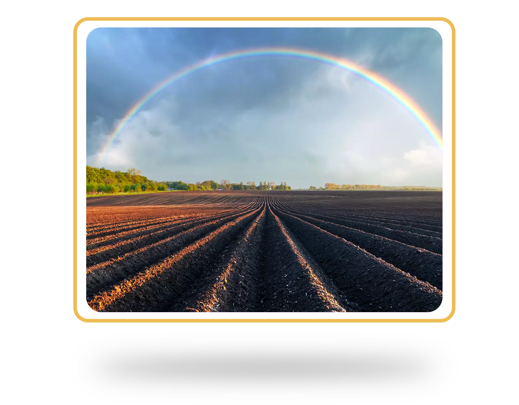 BeCrop Rate | Biome Makers